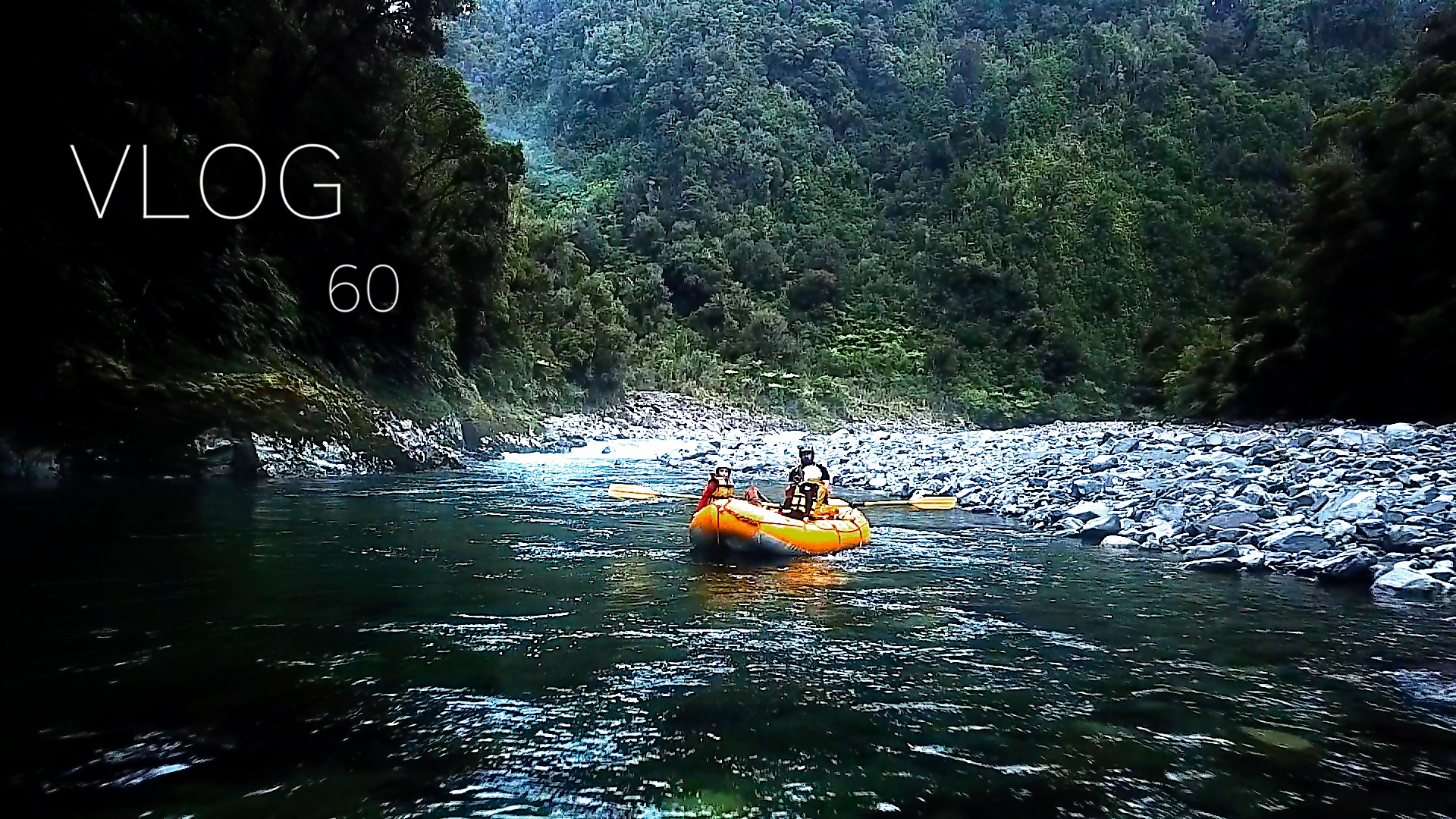 VLOG 60 Deer - Chamois - Hinaki - Stuff - The Kiwi Bushman