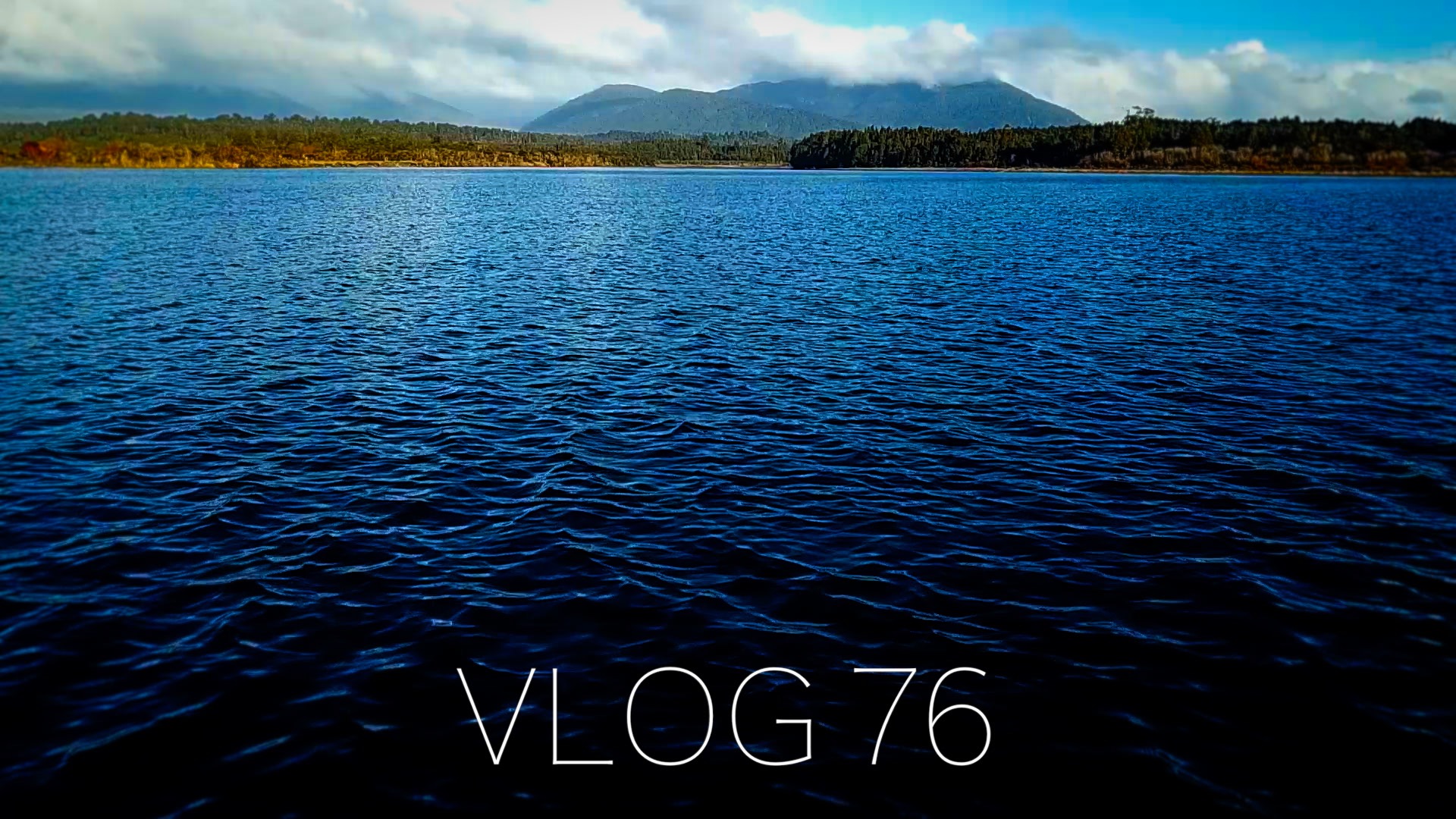 VLOG 76 - The Kiwi Bushman