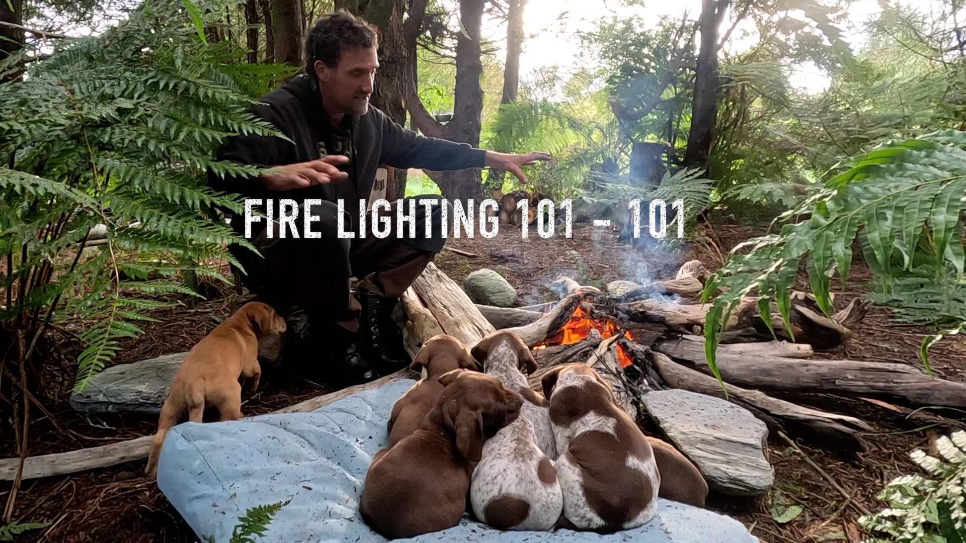FIRE LIGHTING 101 - 101 - The Kiwi Bushman